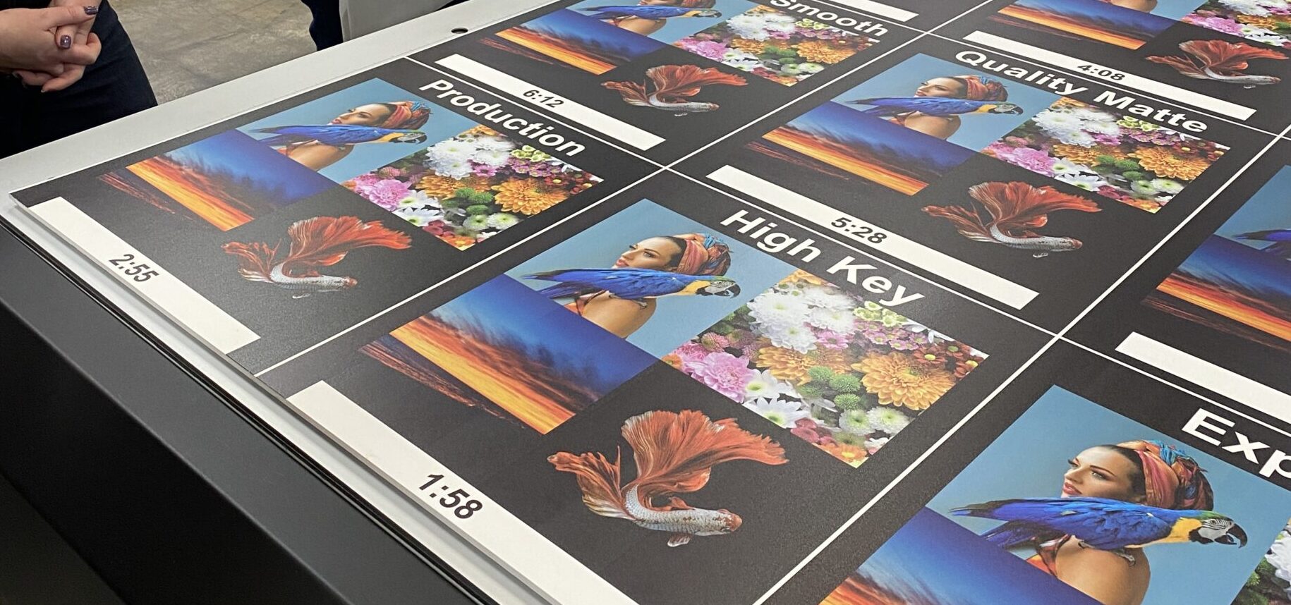 Large Print Signs | Custom Business Signs, Banners & Posters - The ...